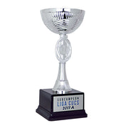 Trofeos y medallas deportivas para premios – The Awards Store México