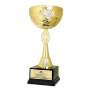 Trofeos y medallas deportivas para premios – The Awards Store México